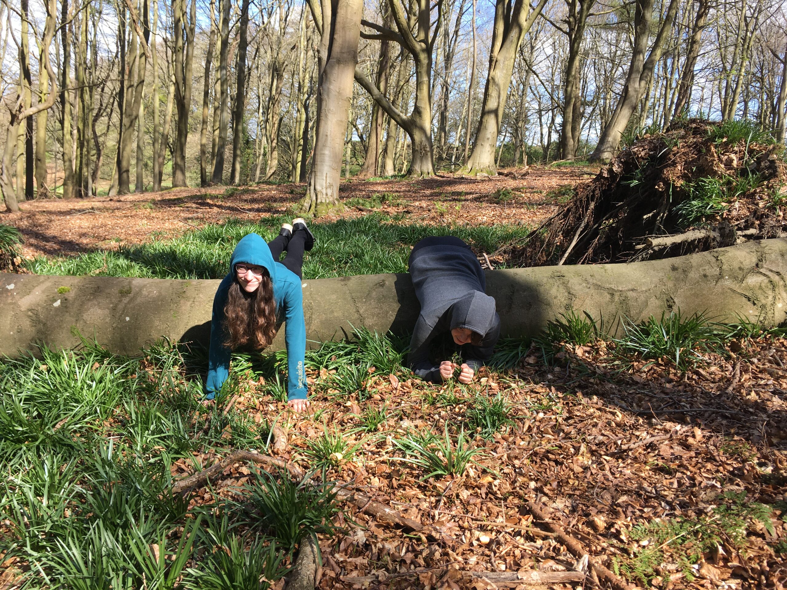 Pathway Days 2021-2022: Elm - Youth Adventure Trust