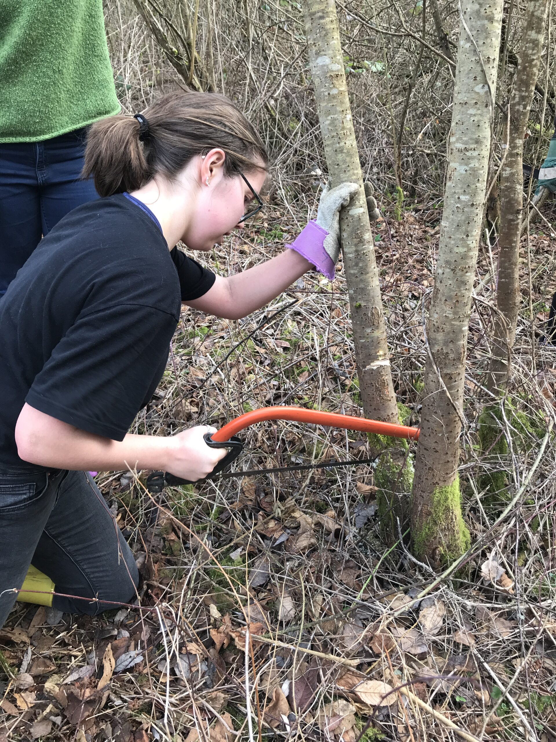 Pathway Days 2022-2023: Oak - Youth Adventure Trust