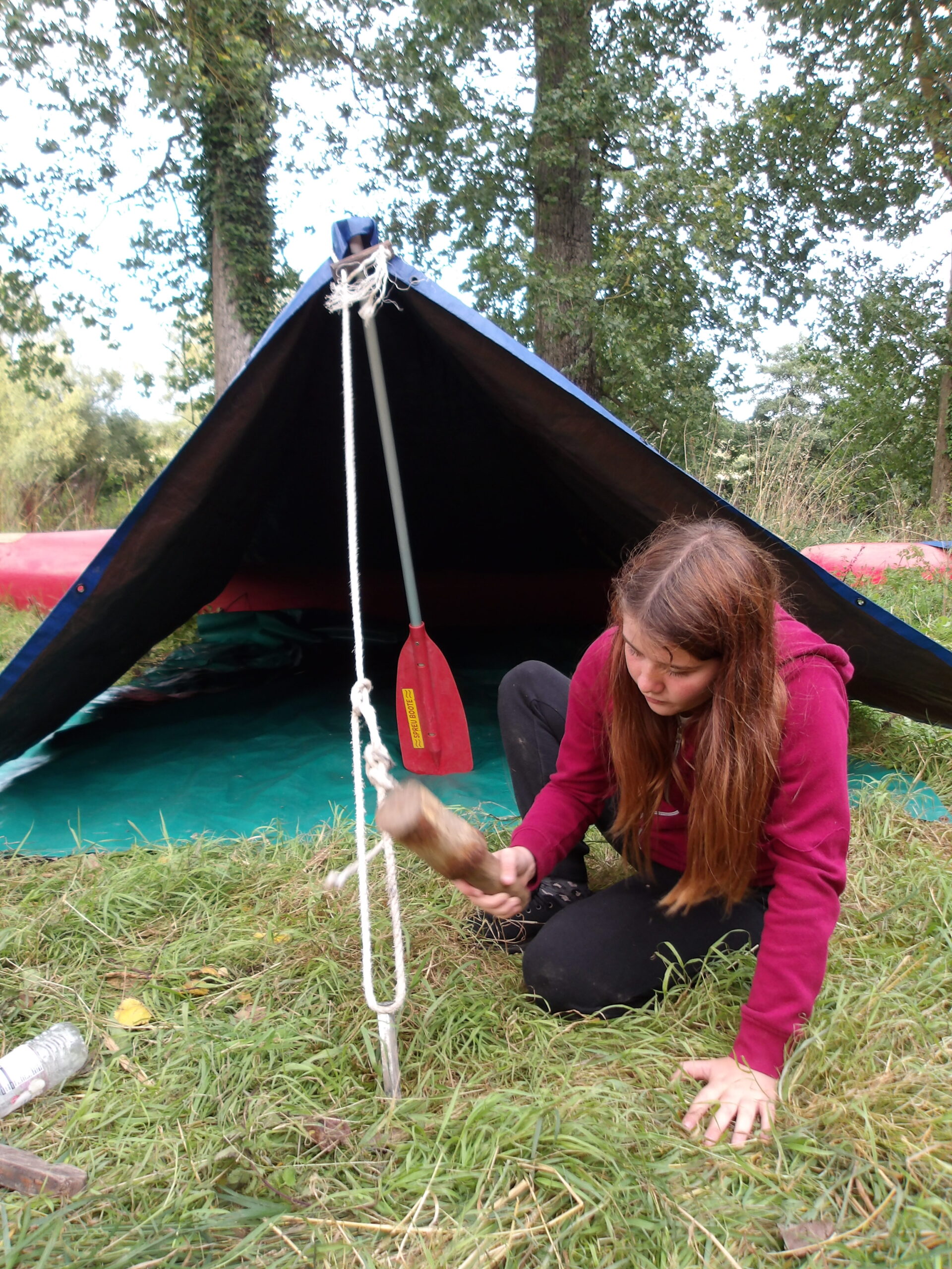 Forest Camp 2023: Hazel - Youth Adventure Trust