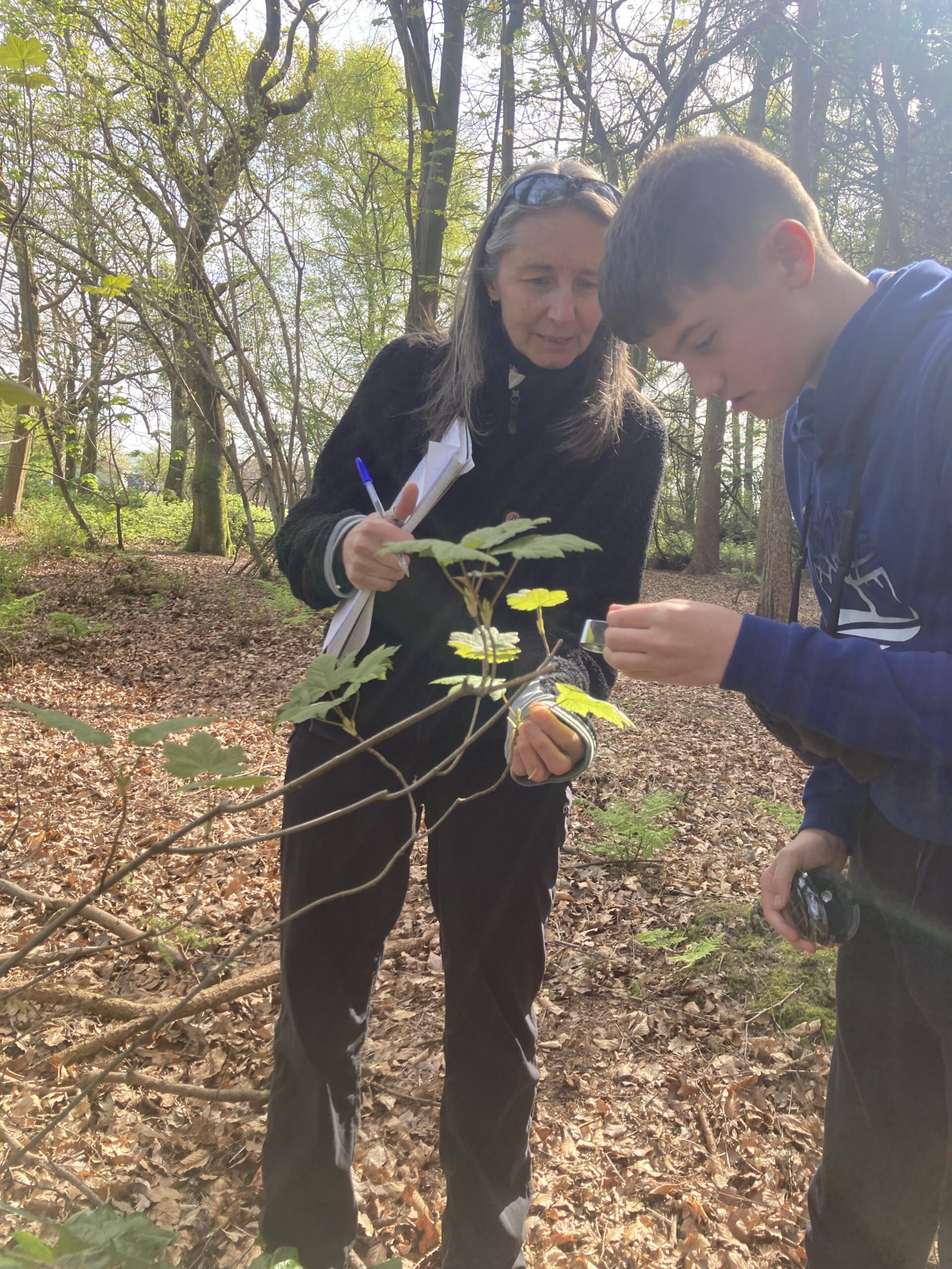 Pathway Days 2023-2024: Aspen - Youth Adventure Trust